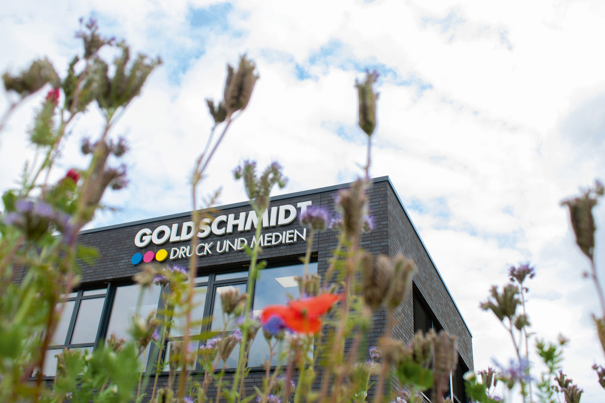 Goldschmidt GmbH – Druck und Medien
